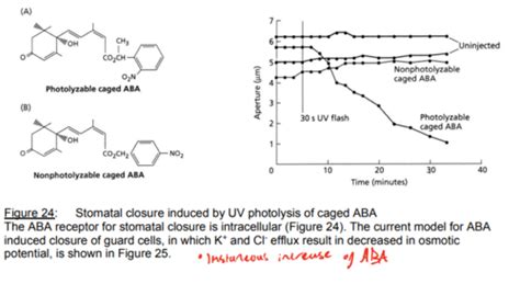 Cell Signalling Lecture 4 Flashcards Quizlet