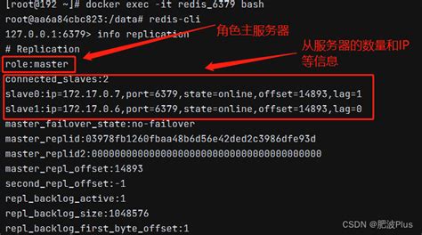 redis的主从服务器搭建和数据过期策略 docker redis 配置过期事件 csdn博客