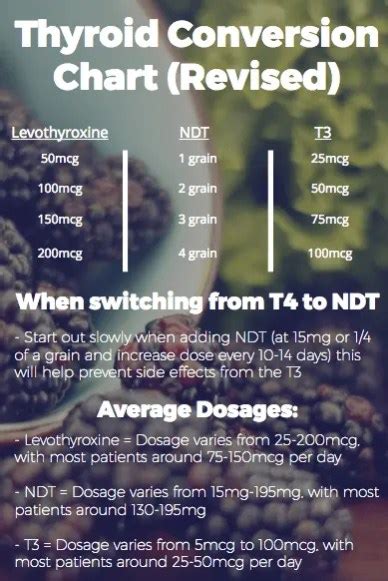 Armour Thyroid Medication Guide Weight Loss Dosing Side Effects