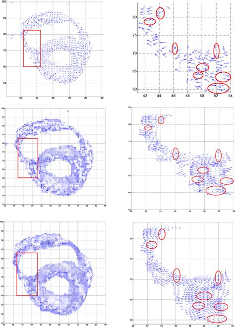 Results Of Noise Reduced Interpolation Of A Primary Eigenvector Field Download Scientific