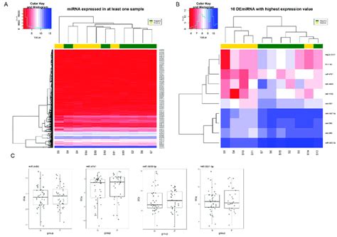 Results Of Mirna Expression Profile By Microarrays A Heatmap Showing Download Scientific