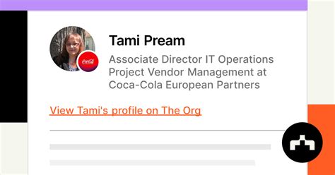 Tami Pream Associate Director It Operations Project Vendor Management