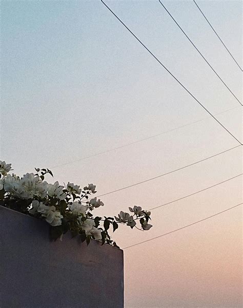 Shanu Singh Photography