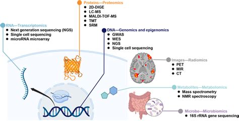 Multi‐omics Approaches In Disease Research Here Lists The Currently Download Scientific