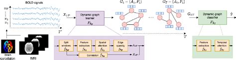figure 1 from dyndepnet learning time varying dependency structures from fmri data via dynamic