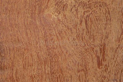 African Mahogany With Its Characteristic Red Shade Structure Exotic Wood Grain Stock Image