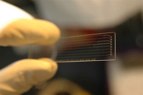 Technologies NeuroLINCS