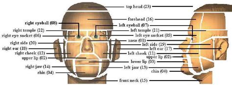 Figure 1 1 From Part Based 3 D Face Recognition Under Pose And Expression Variations Semantic