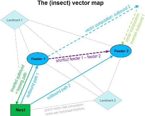 Figure 1 From Toward The Vector Map In Insect Navigation Semantic Scholar