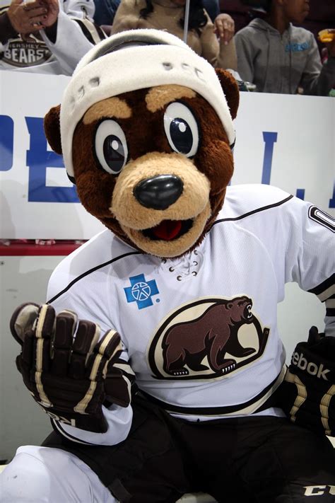 83 Best Coco The Bear Images On Pinterest Field Hockey Hershey Bears And Hockey