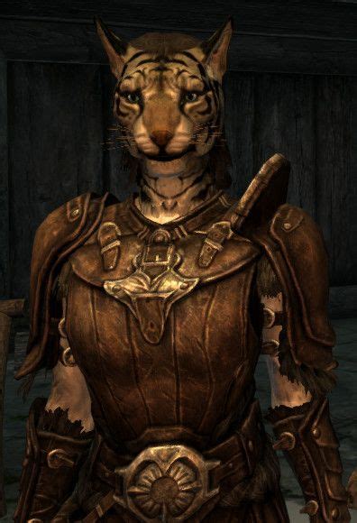 Skyrim Story Character Shabhi The Khajiit By Leonar Cousland Story Characters Skyrim Character