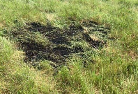 Grass Left Smoking After Lightning Strike At Eureka Business Park In