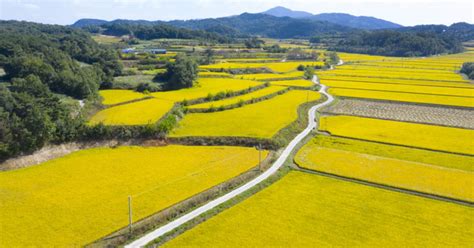 농업경영체 등록정보 기록 내용은 ‘방대 활용은 ‘단편적