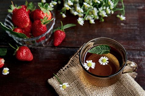 유기농 카모마일과 민트 차 허브 주입 차 항산화 제 신선한 딸기 카모마일 꽃 및 나무 테이블에 박하 자연스러운 여름 아침 식사 미적 여름 라이프 스타일 아름다운 음식 0명에