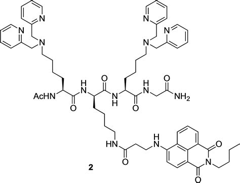 A Fluorescent Sensor Array For The Discrimination Of Nucleotide Phosphates Sergeant 2023