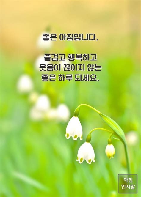 좋은 아침입니다 좋은 하루 되세요