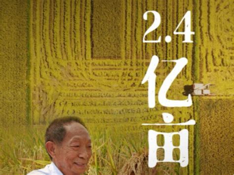 纪念袁隆平风和笠文化 站酷zcool