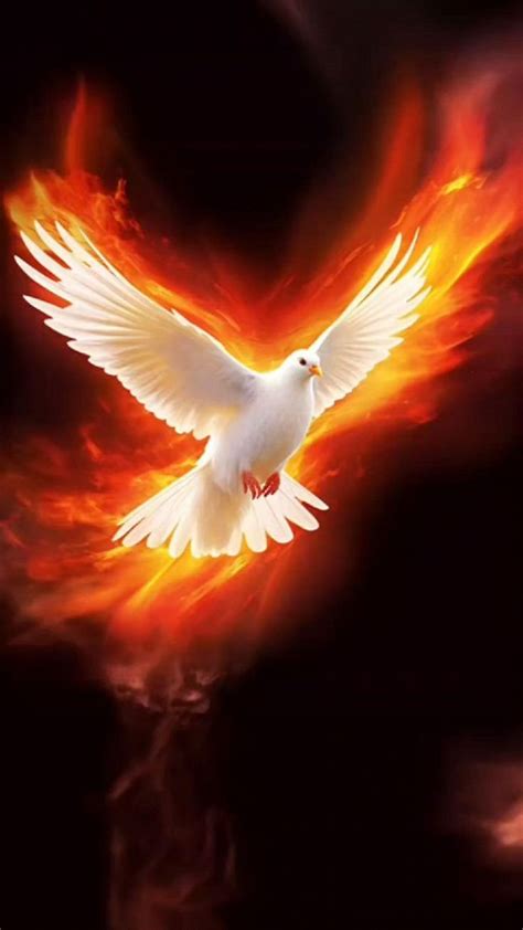 Пин от пользователя Felis на доске Pines Creados Por Ti