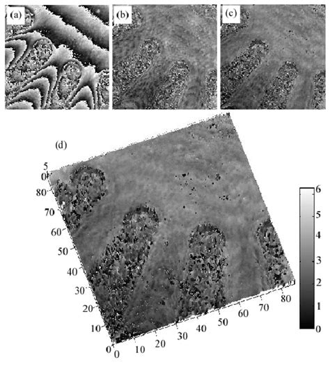 Three Wavelength Optical Phase Unwrapping Of The Biosensor Using Laser Download Scientific