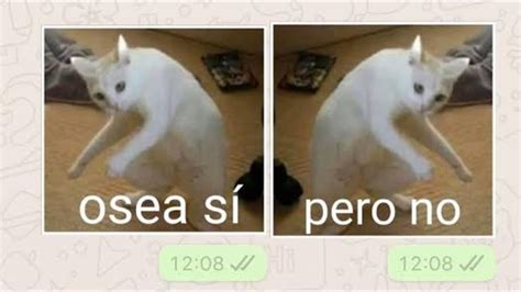 Osea Si Pero No Youtube