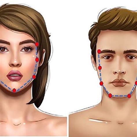 The Appropriate Balance Of Bitemporal Bizygomatic And Bimandibular