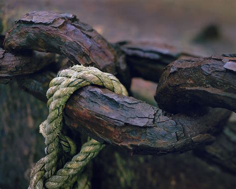 Light Composition Or Subject On Landscape