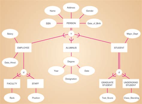 Session 17 Conceptual Data Modeling Flashcards Quizlet