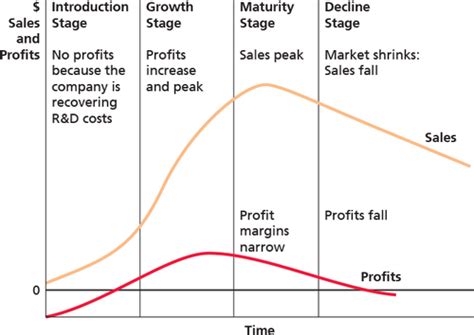 Product Lifecycle Flashcards Quizlet