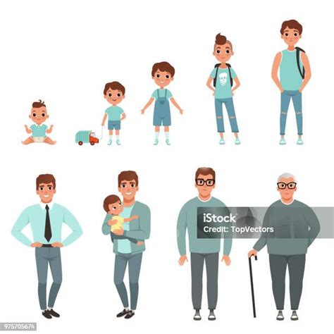 위해 성장 하는 아기에서 남자 벡터 일러스트 레이 션의 단계 남자의 라이프 사이클 가족에 대한 스톡 벡터 아트 및 기타 이미지 가족 개념 남자 Istock