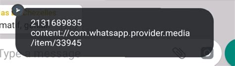 Cannot Open Direct Audio Stream Rblackplayer