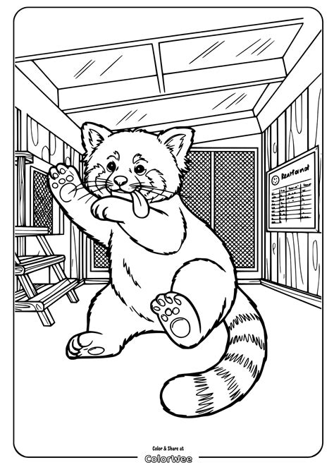 35 Red Panda Coloring Pages Free Printables