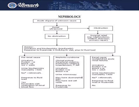 Nephrology Algorithm Docx