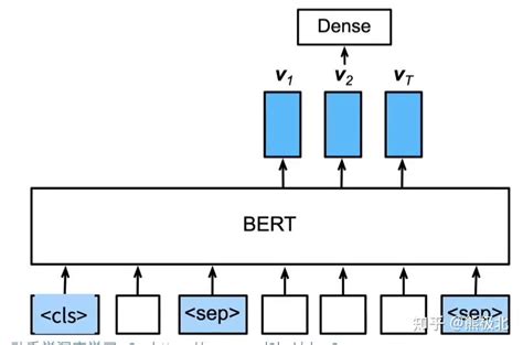 动手学深度学习笔记：bert微调 知乎