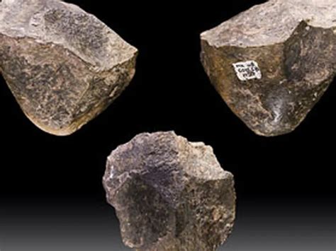 Australopithecus Garhi Tools