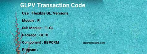 GLPV SAP Tcode For Flexible GL Versions