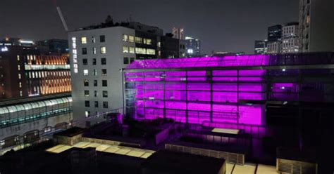 성수동 빌딩 옥상에 스마트 온실···작물 키우며 건물 에너지 아껴