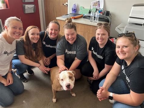 Bakertillystewardship Thisismybakertilly Beth Pillard