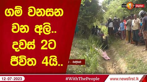 ගම් වනසන වන අලි දවස් 2ට ජීවිත 4යි Youtube