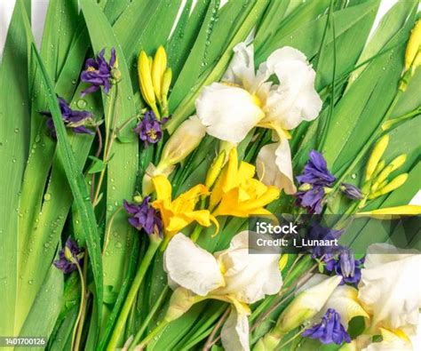 Daun Hijau Segar Kuncup Lily Kuning Bunga Iris Putih Lonceng Biru Dan