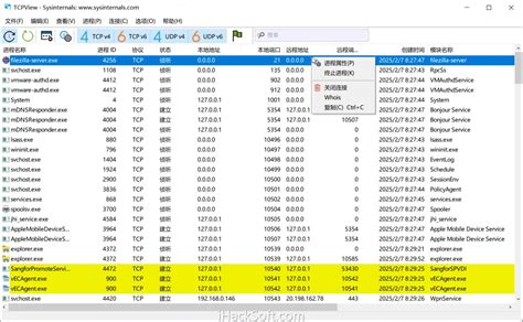 Tcpview 汉化中文版官方原版 网络连接tcpudp管理工具 嗨软