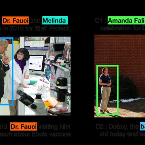 Distribution Of The Images In The Cosmos Dataset Per Category