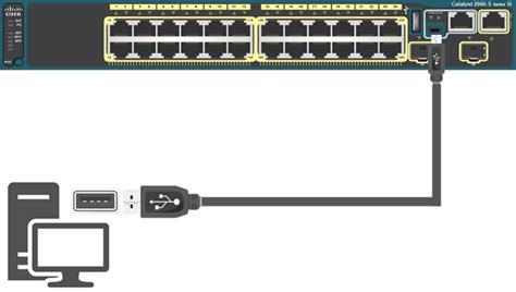 Accéder Au Cli Guide Complet Pour Débutants Pandawan