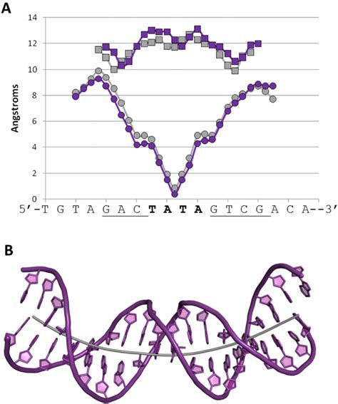 Dna Bending Analysis Of The Dna From The C Esp1396i Y37f 19o M Download Scientific Diagram