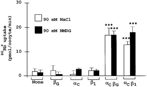 86 Rb Uptake In Oocytes Expressing C G Or C 1 Complexes Oocytes Were Download Scientific