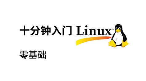 十分钟入门linux系统【零基础】 Youtube