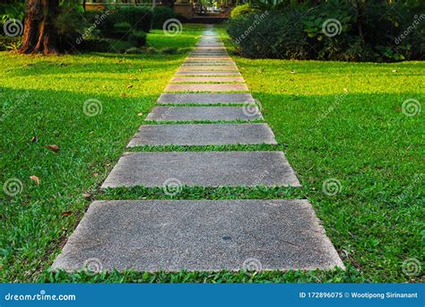 Pathway Through Lawn Royalty Free Stock Image 39962938