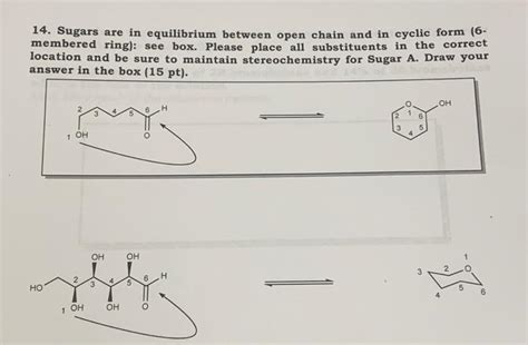 Solved 14 Sugars Are In Equilibrium Between Open Chain And
