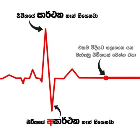 Jayashanka Anushan Posted On Linkedin