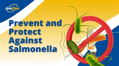 Salmonella Prevention Steps To Protect Against Infection