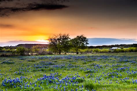 Texas Hill Country Landscape